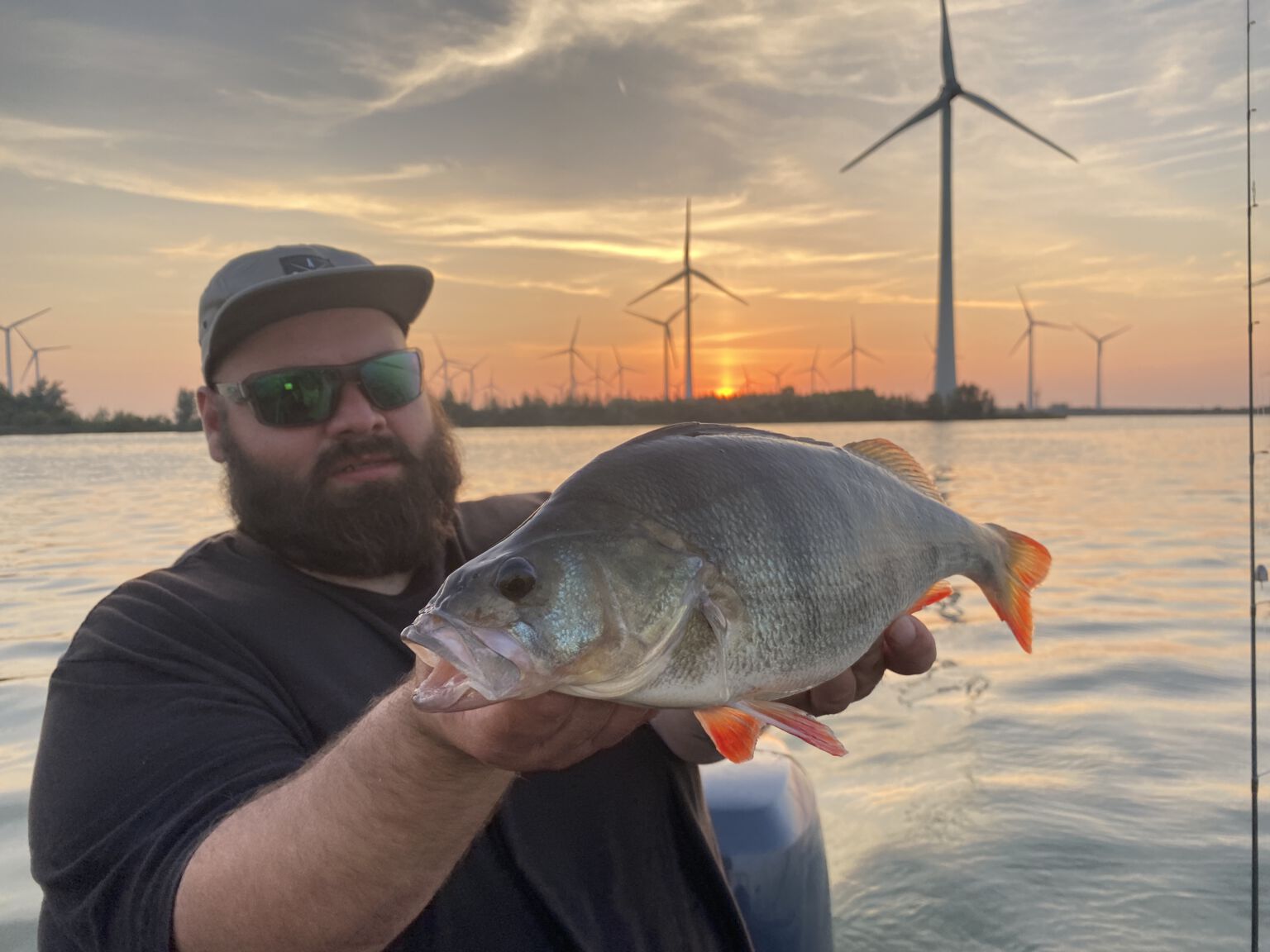 Rhein Delta - Großes Gewässer, große Fische